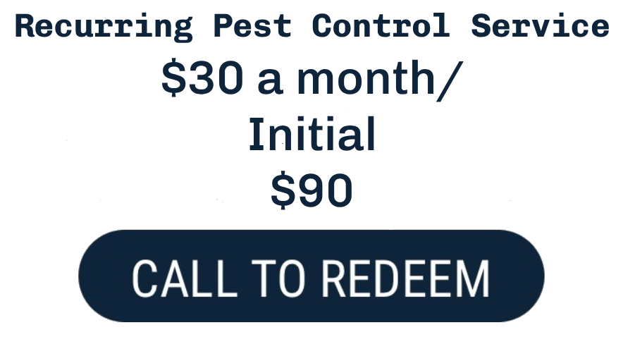 First Choice Pest Solutions, LLC is a Pest Control Company in Covington ...